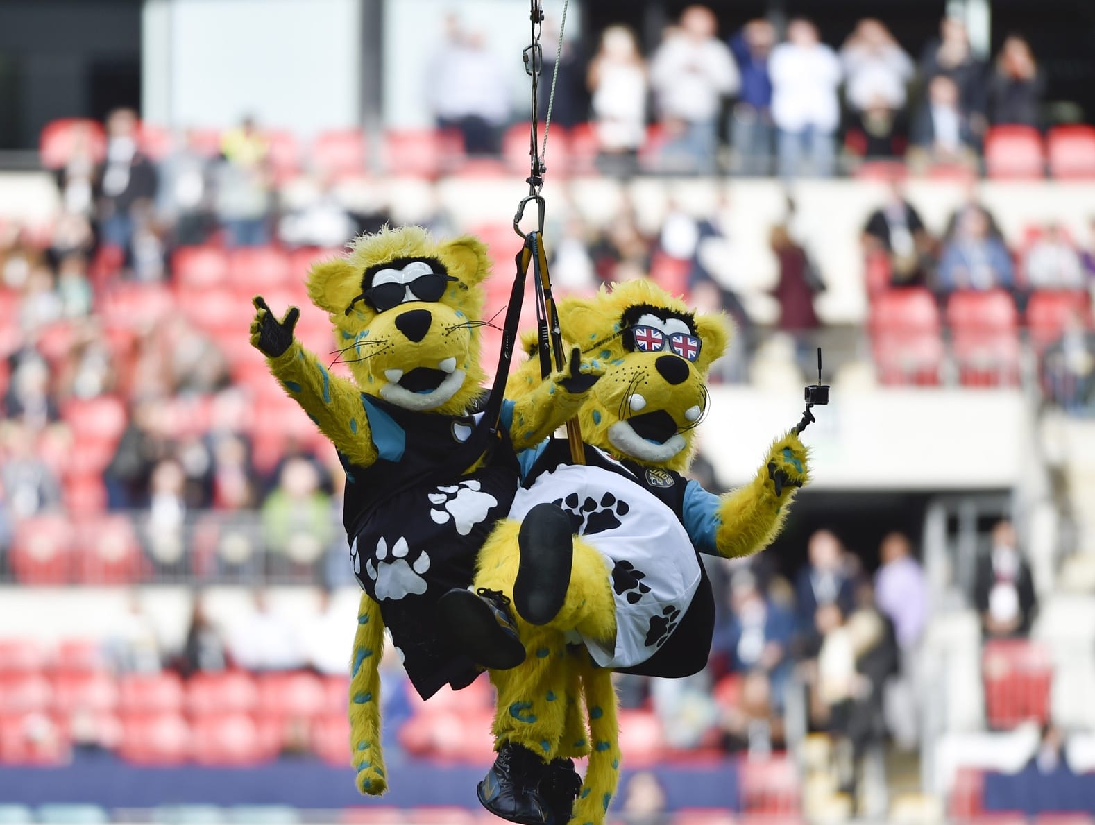 Which NFL teams are the most, least popular?