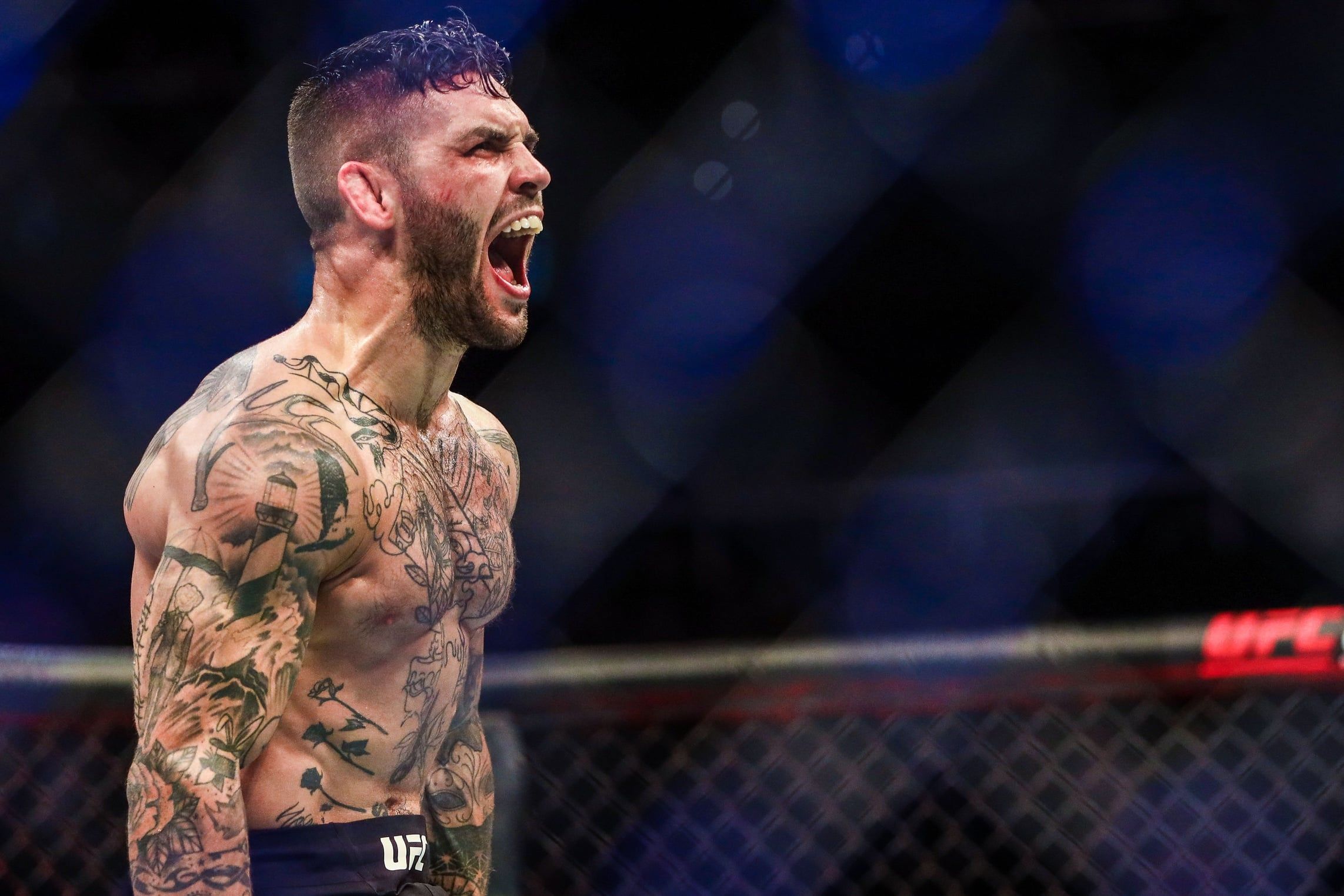 WATCH: Gavin Tucker with violent rear-naked choke of Justin Jaynes