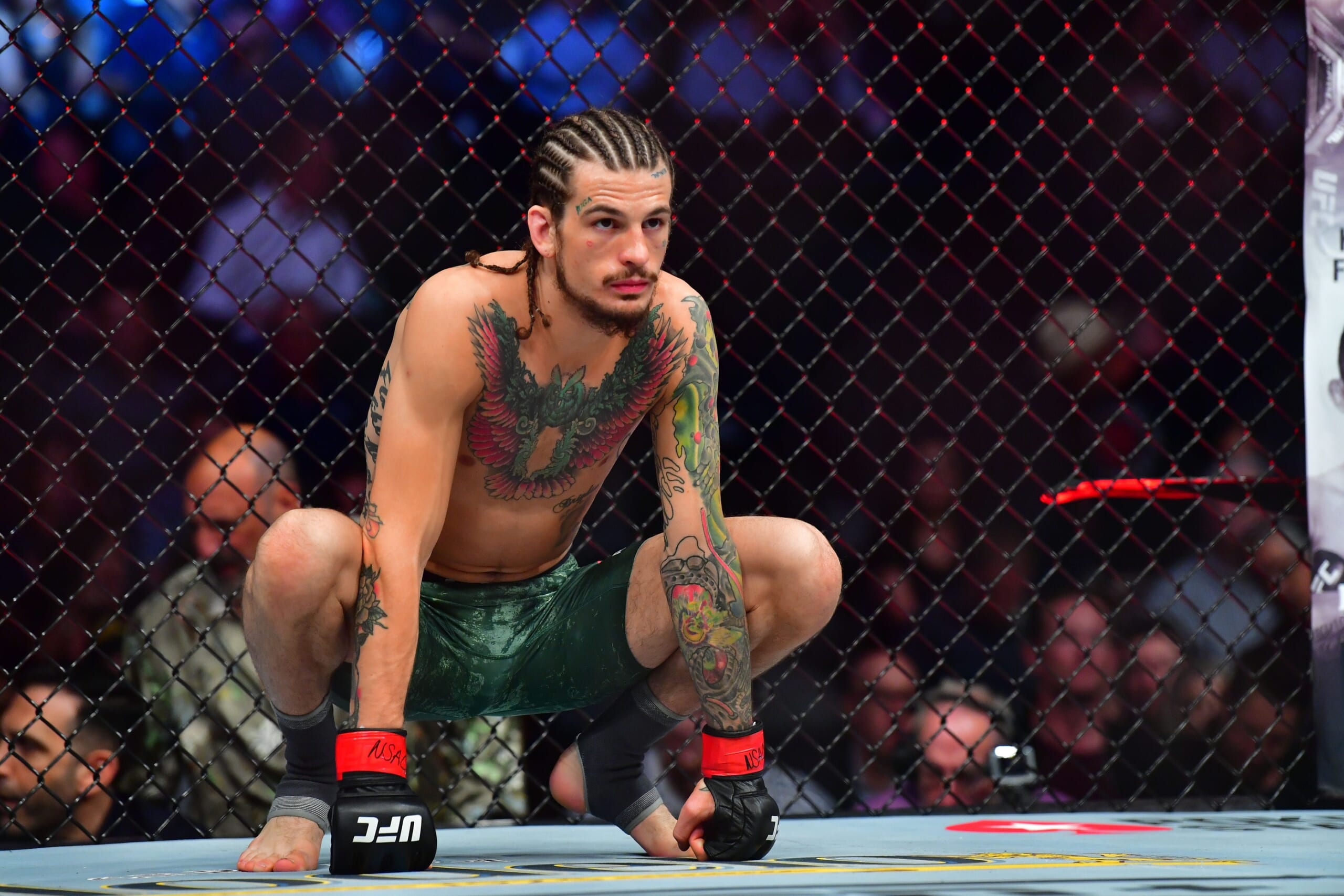 UFC 250: Sean O'Malley brutally knocks out Eddie Wineland in Round 1