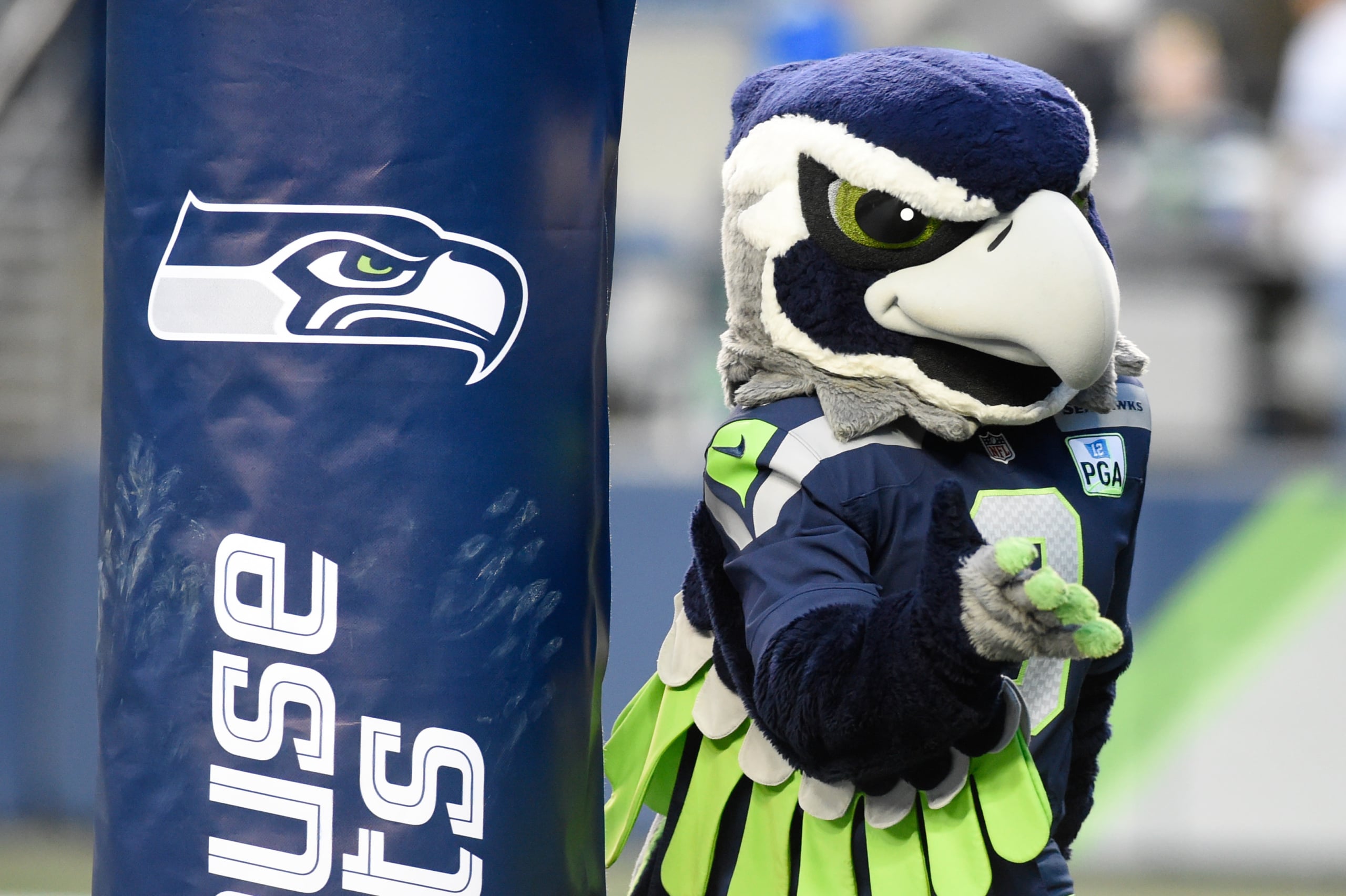 All 28 NFL Mascots Ranked in 2024