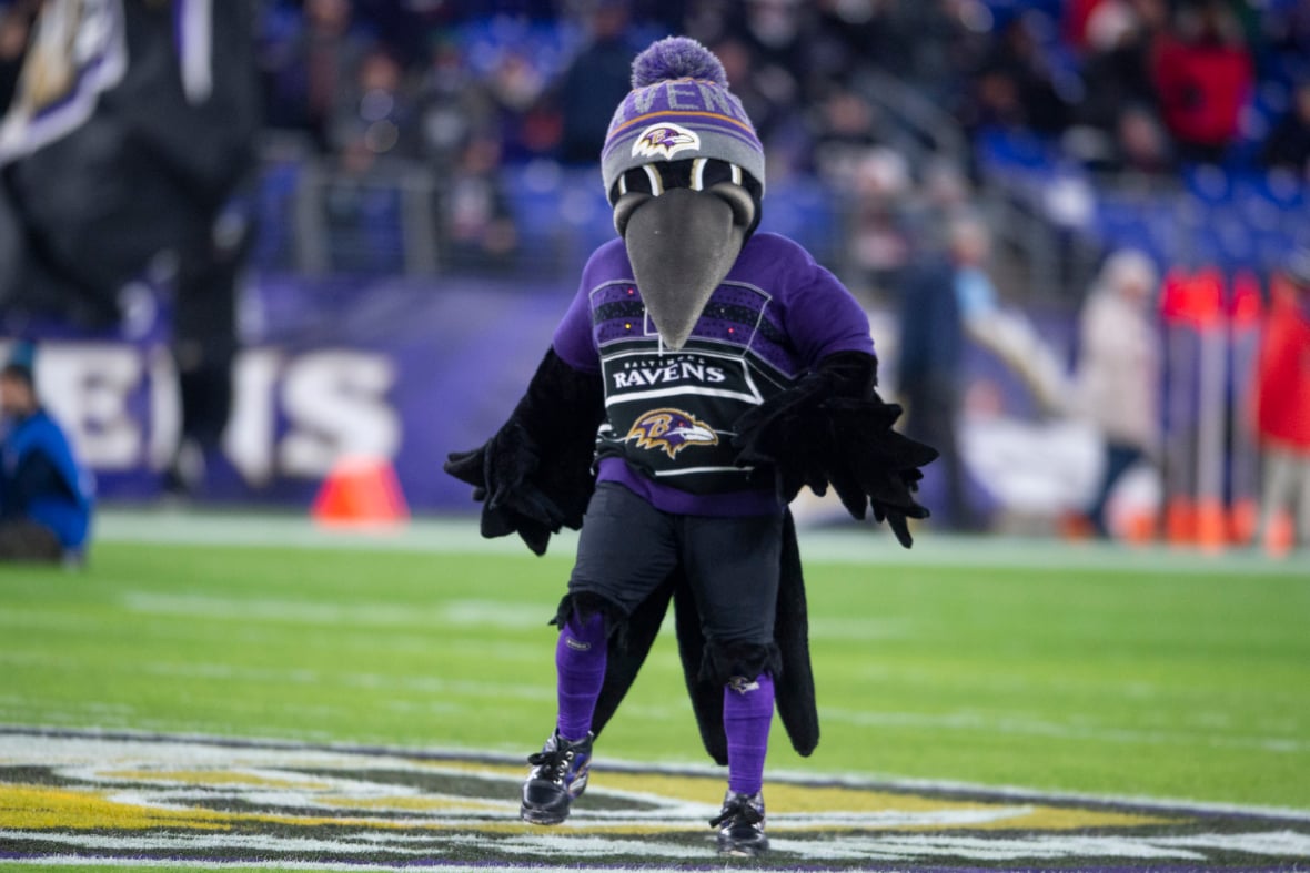 Baltimore Ravens mascot, Poe, seems to suffer torn ACL at halftime of ...